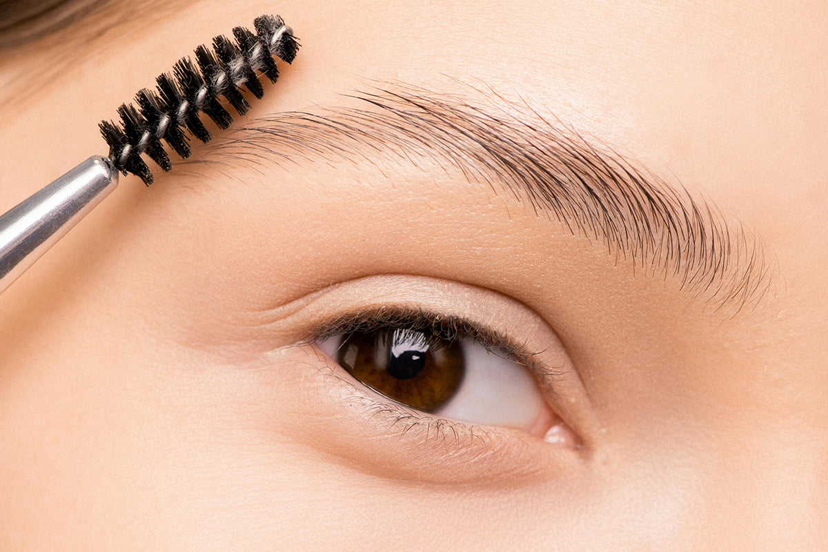 WOW BROWS – freezeframe
